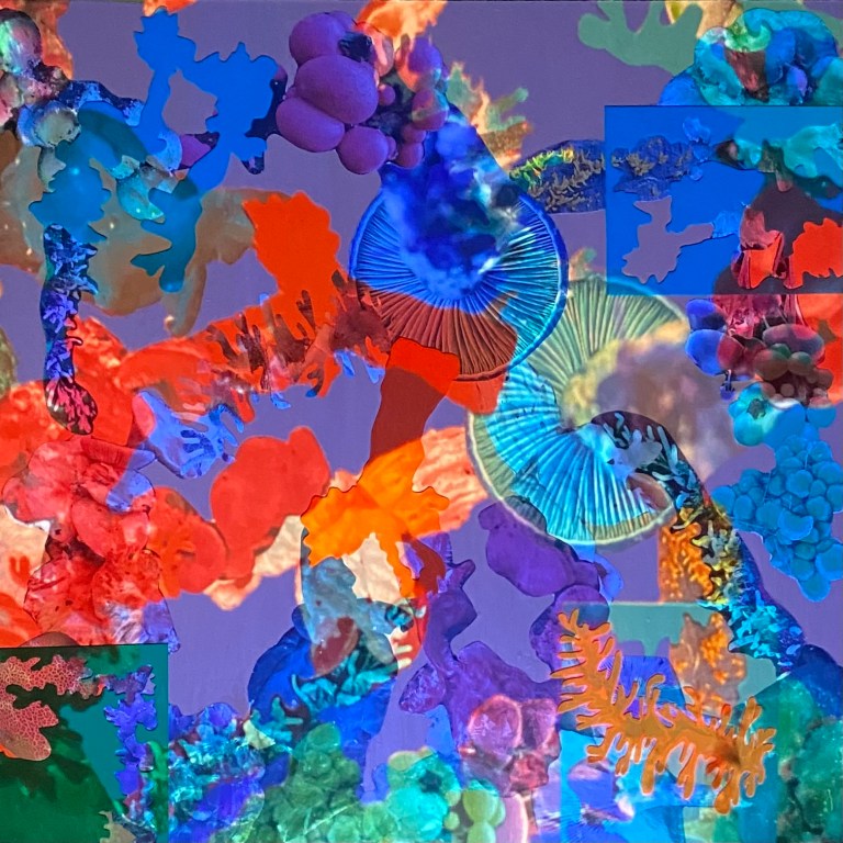 WORK – ALICE STELLA ART